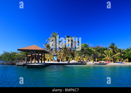 Beach houses, Island Roatan, Country Honduras Stock Photo - Alamy