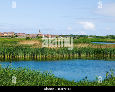 Wetland managed by Tees Valley Wildlife Trust at Coatham Marsh Nature ...