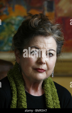 Prominent artist Jane Evans in her studio in Nelson, New Zealand Stock ...