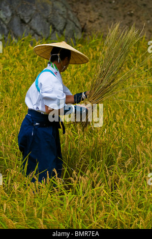 Rice harvest ceremony in Kyoto Japan Stock Photo - Alamy