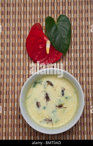 Creamy Cricket Soup from Asian countries. © Myrleen Pearson Stock Photo ...