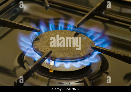 A lit gas ring alight on a stainless steel kitchen gas hob Stock Photo ...