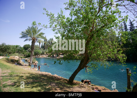 Israel, Galilee, Sachne aka Gan Hashlosha Stock Photo - Alamy