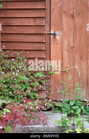 Untidy Back garden, Ireland Stock Photo - Alamy