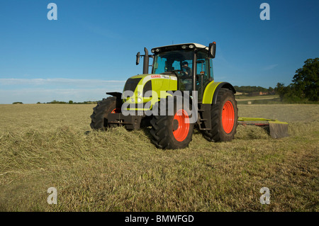 Rowing up a Hay Crop Stock Photo - Alamy