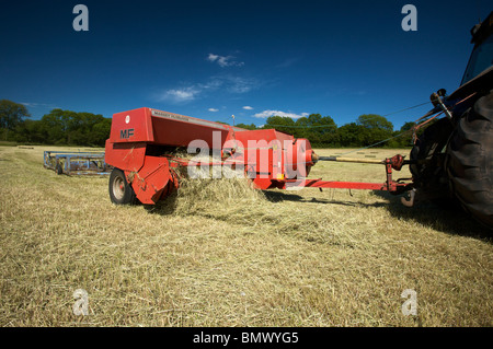 Farmer baling summer hay 7 Stock Photo - Alamy
