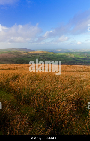Foel Cwmcerwyn and Preseli Hills in snow Pembrokeshire Coast National ...