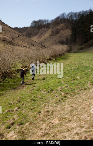 Gratton Dale, a limestone valley in the Derbyshire Peak District Stock ...