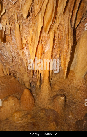 Variety of speleothem called drapery or 'cave bacon' at Ngilgi Cave, a ...
