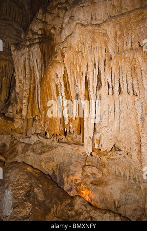 Stalactites, stalagmites, straws and drapery at Ngilgi Cave, a ...