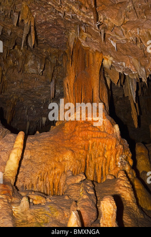 Stalactites and Stalagmites in Ngilgi Cave, Yallingup, Western ...