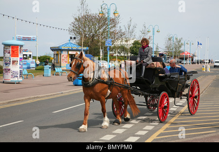 Skegness Horse and carriage rides are popular with visitors to see more ...