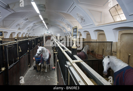 The Spanish Riding School Stock Photo - Alamy