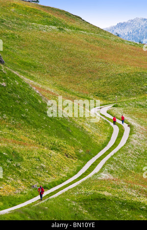 Trekking, Splugen, Canton Grigioni, Switzerland Stock Photo - Alamy