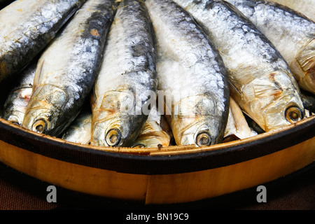 Fish stall in market Mallorca people shopping Palma de Mallorca, Santa ...