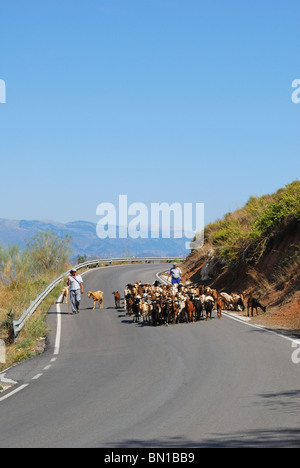 Iznate Inland Costa del Sol Malaga Province Spain Stock Photo - Alamy
