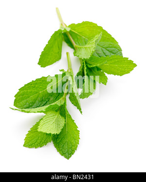 Fresh mint background, closeup Stock Photo - Alamy