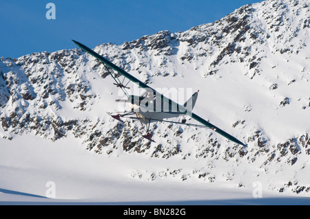 A Piper Super Cub bush plane along a river bed in the Yakutat District ...