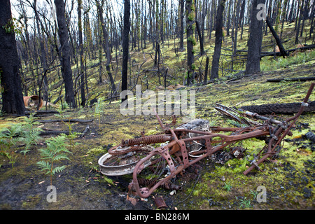 Following the bushfires in Kinglake, Australia Stock Photo - Alamy
