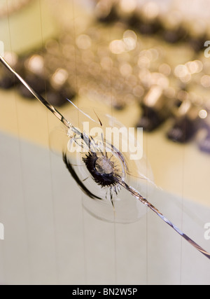 break-in attempt in a shop window Stock Photo - Alamy