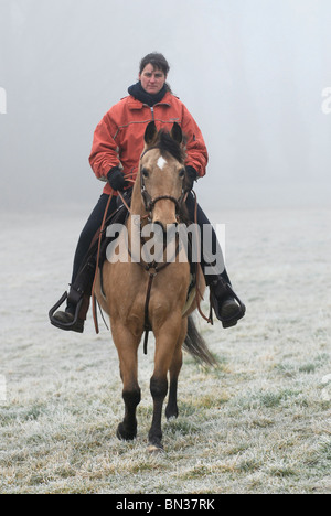 Quarab Horse with a woman Stock Photo - Alamy