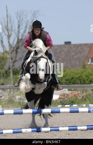 Woman jumping Gypsy Vanner horse over obstacle Stock Photo - Alamy