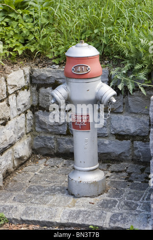 A closeup to a red fire hydrant near a wall Stock Photo - Alamy