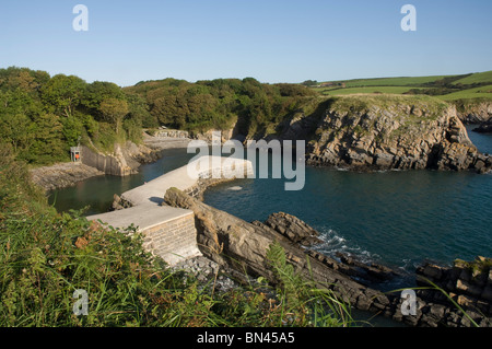 Stackpole Quay, Pembrokeshire Coast National Park, Wales, UK, Europe ...