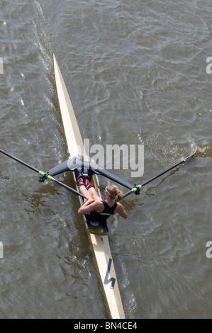 Rowing on the Thames at Hammersmith, London, United Kingdom Stock Photo ...