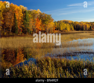 West Plum Lake in the Northern Highland American Legion State Forest ...