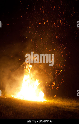 Burning wicker man ceremony Kings Meadow, Glastonbury Festival 2010 ...