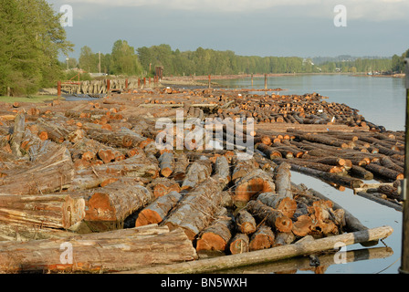 Log booms floating on the Fraser River, Vancouver, British Columbia ...