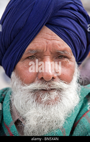 Portrait Of A Sikh Elder Stock Photo - Alamy