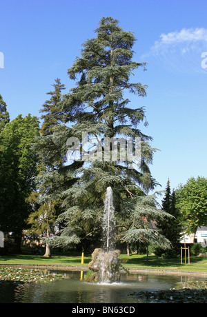 Water fountain in a pond bordered by a split rail fence at Panola ...