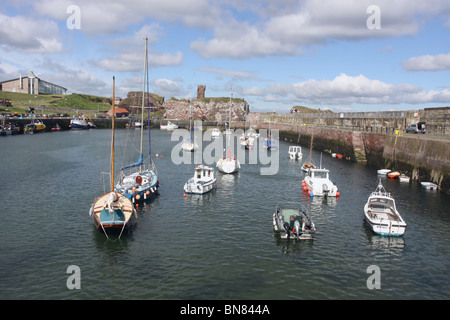 fishing boats in Dunbar harbour Scotland June 2010 Stock Photo - Alamy