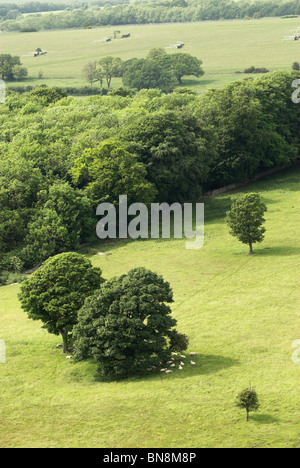Rolling chalk hills rise over agricultural fields and pasture in North ...