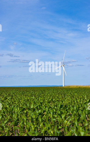 Maple Ridge Wind farm wind turbines on Tug Hill Plateau Lewis County ...