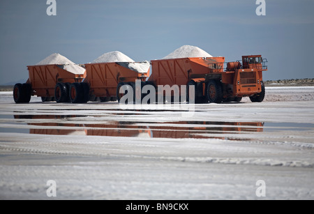 The World's Largest Salt Factory, Guerrero Negro, Exportadora de Sal ...