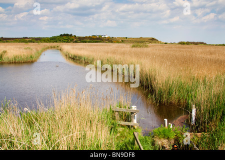 Minsmere RSPB reserve; Suffolk Stock Photo - Alamy