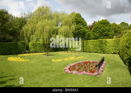 Walkden Gardens, Sale, England. Spring view of a tree in full blossom ...