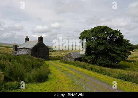 The ruined farmhouse and outbuildings at Amnodd-bwll, below the ...