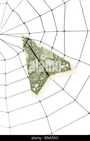 Money Spider and its web Stock Photo - Alamy