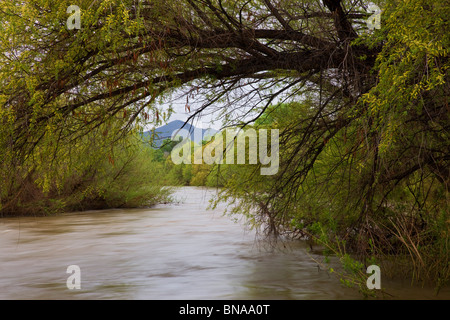 Verde River, Fort McDowell Yavapai Nation, East of Phoenix, Arizona ...