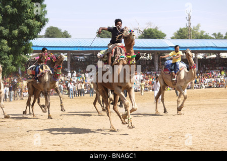 Camel Racing at the Camel Fair in Pushkar India Stock Photo - Alamy