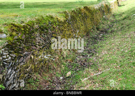 A Ha-ha a garden design trench -a fence concealed to protect the view ...
