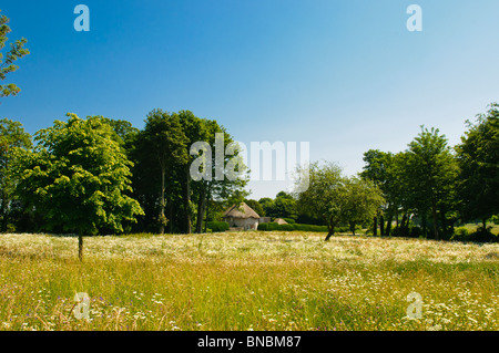 Knapped flint thatched cottage set in field of wild flowers at West ...