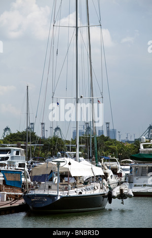 The 24m yacht, Cygnus Montanus, belonging to Carl Henric Svanberg ...