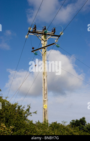Pylon carrying power cables Stock Photo - Alamy