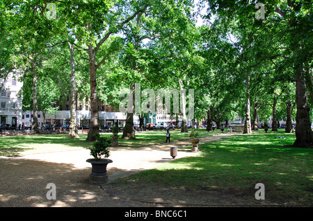 Berkeley Square, City of Westminster, London, England Stock Photo - Alamy