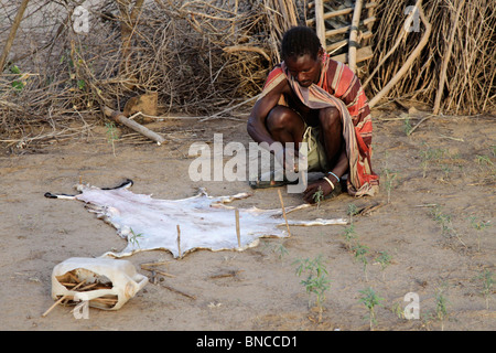 Tsemai man in Southern Ethiopia id stretching sheep skin for drying ...